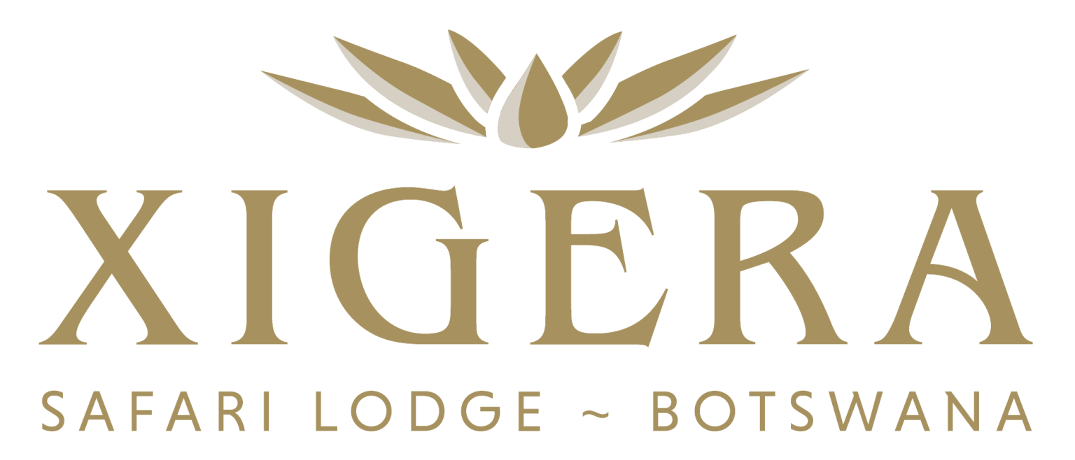 The lodge – Xigera Safari Lodge